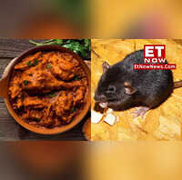 Mumbai: Rat in chicken dish in popular Bandra restaurant Papa Pancho da ...