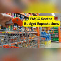 Interim Budget Expectations 2024: ‘GST reduction…implementing PLI ...