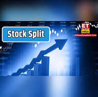 multibagger stock sprayking agro ltd stock split check ratio record ...