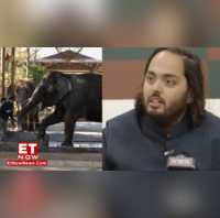 World’s largest rehab for animals! All about Anant Ambani's wildlife ...
