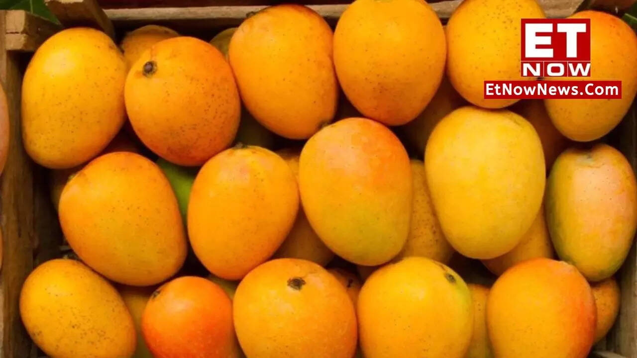 The King of Fruits! Most expensive mango varieties found in India - ET ...