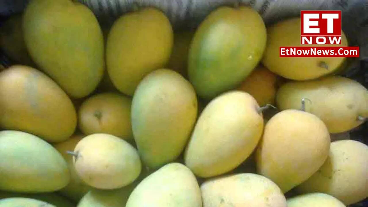The King of Fruits! Most expensive mango varieties found in India - ET ...