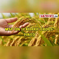 MSP for 14 Kharif crops for 2024-25 HIKED – Paddy, jowar, bajra, tur and more – Full List ...