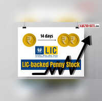 14 Din Mein Paisa Double! LIC-backed Penny Stock - Share Price Rs 3 ...