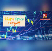Share Price Target: मुनाफा कमा कर देगा ये Stock? एक्सपर्ट से समझिए ...