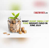 Quant Small Cap Mutual Fund: 1 yr 70% return! AMC ups stake in bank ...