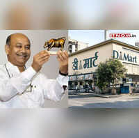 DMart Q1 Results FY 2024-2025 OUT! Check profit, revenue from quarterly earnings of Radhakishan ...