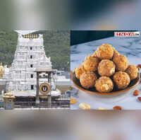 What is beef tallow and lard in Tirupati laddu ‘Prasadam’? Animal fat types EXPLAINED - News ...