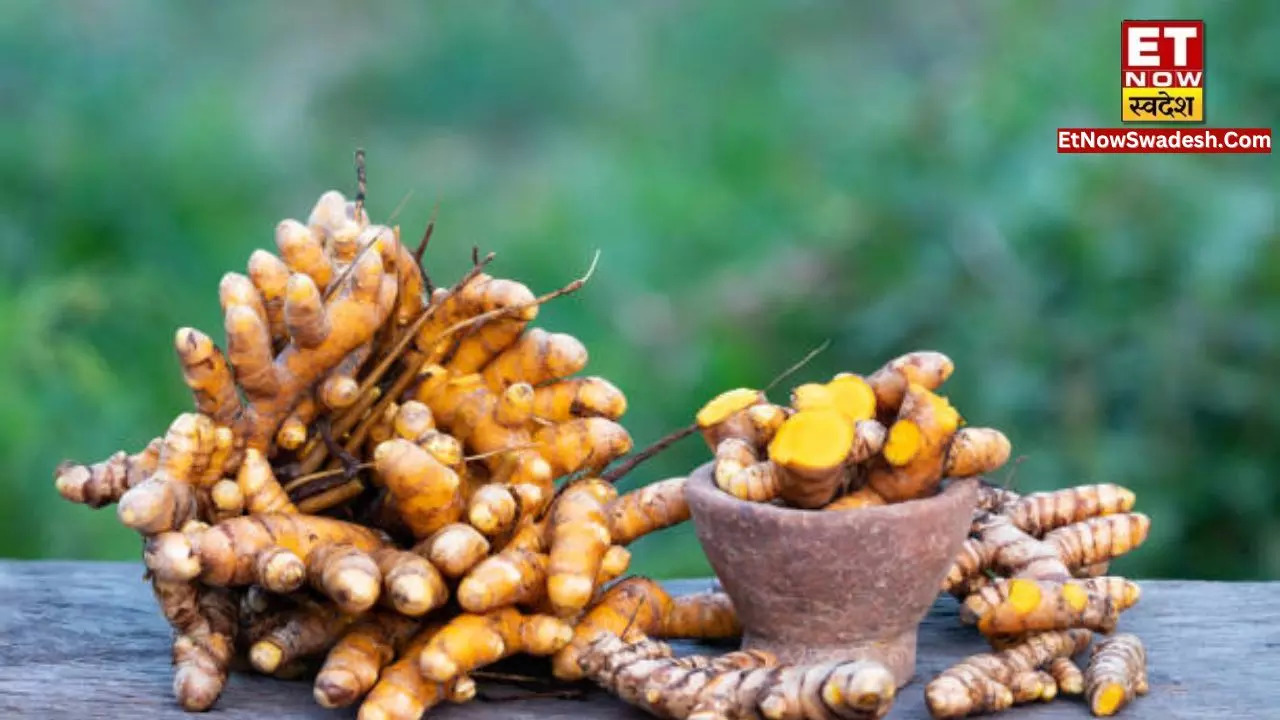 Turmeric Farming: इस तरह हल्दी की खेती से हो सकती है लाखों की कमाई ...