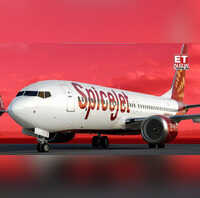 SpiceJet Share Price: Good news for crisis-hit airline! Shares soar 10% ...