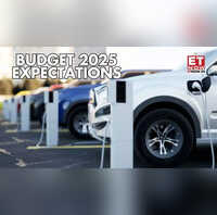 Budget 2025 Expectations: From tax incentives to direct subsidies; What ...