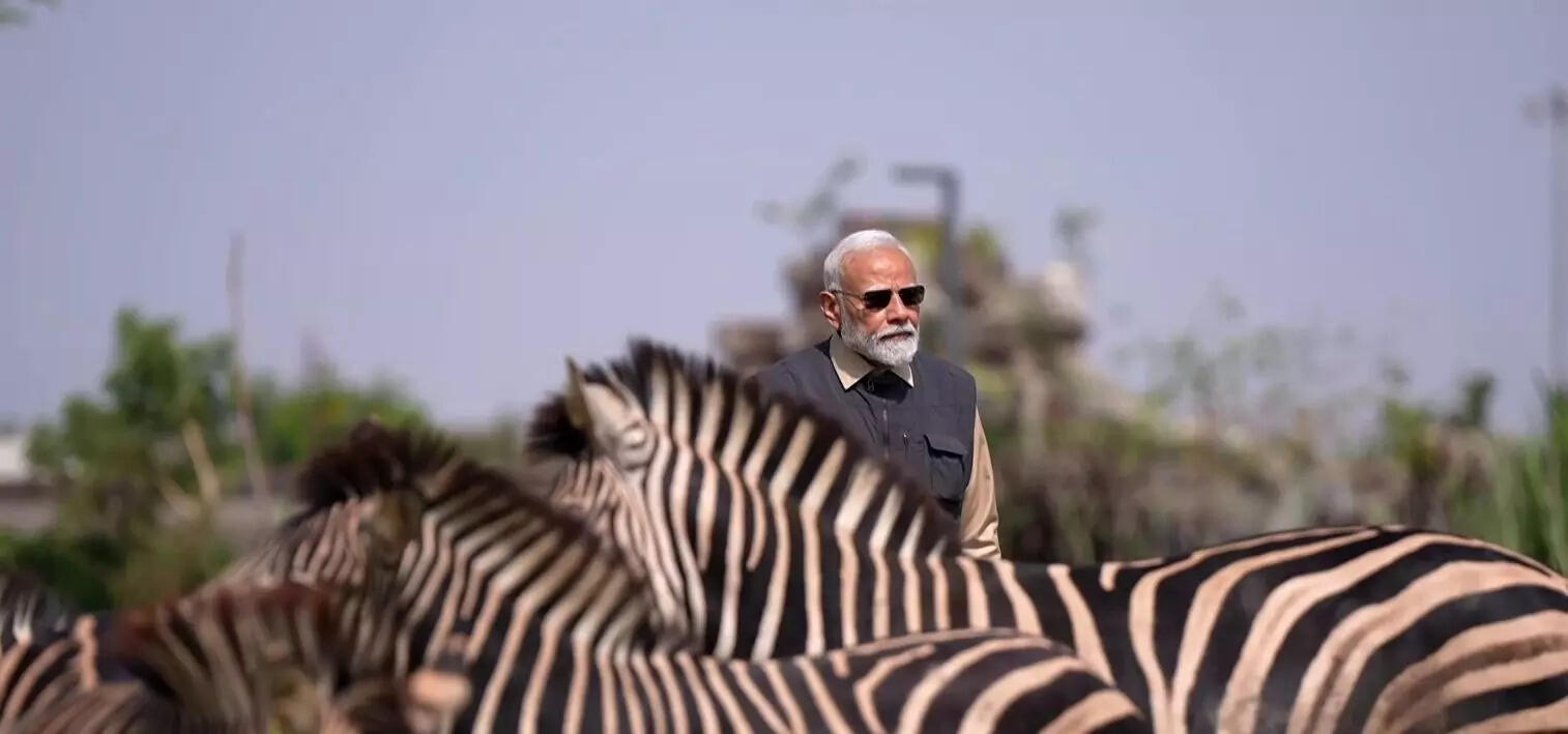 PM Modi inaugurates Vantara Wildlife Centre in Jamnagar, plays with ...