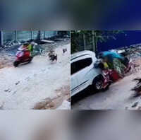 Stray dog menace: Another incident caught on camera! Woman in Odisha ...