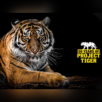 Saving The Big Cats: Journey Of India's Project Tiger - News | ET Now