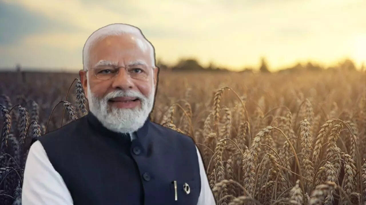 Plan: World’s largest grain storage plan in cooperative sector gets PM ...