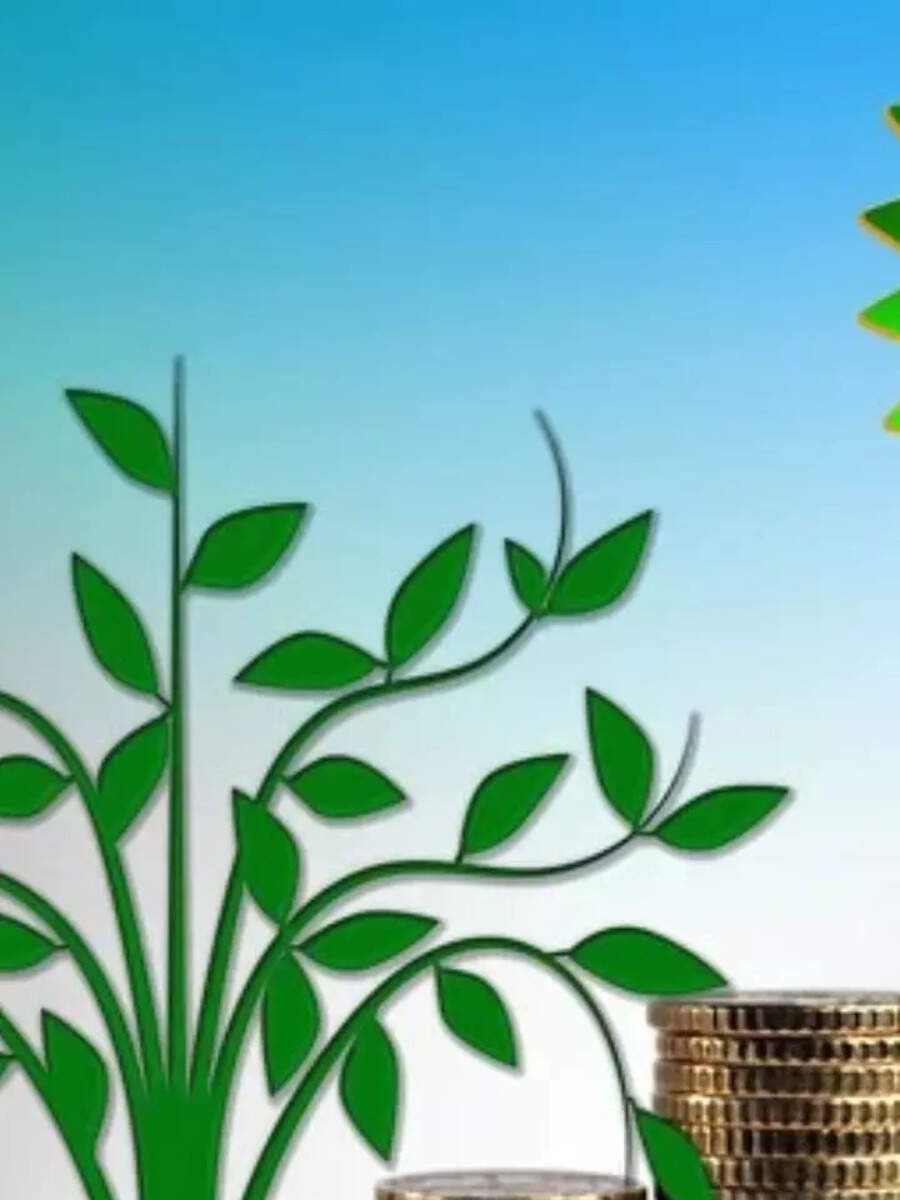 What is Green Fund: All you need to know before investing | etnownews