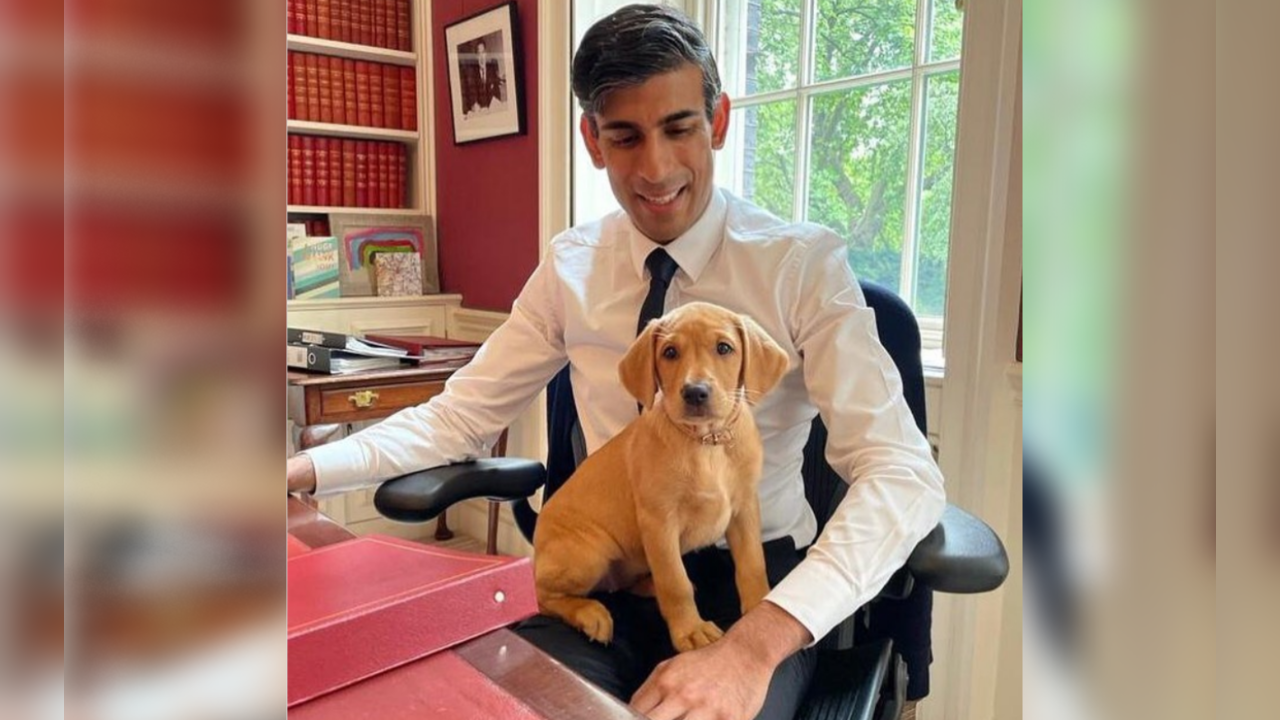 'Dogs, Indians not allowed...kaal chakra dekhiye...' - Bada Business ...