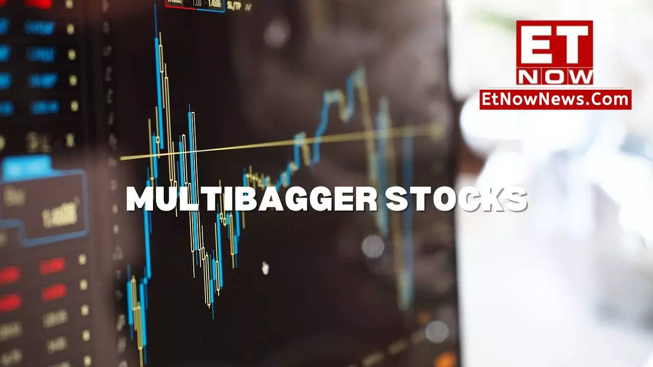 Mukul Agrawal Portfolio: MULTIBAGGER STOCKS! 6 shares that have over ...