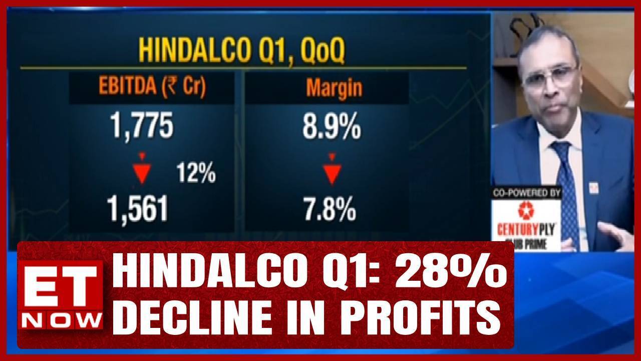 Focusing On Organic Expansion Plans Both In Hindalco & Novelis | Satish ...