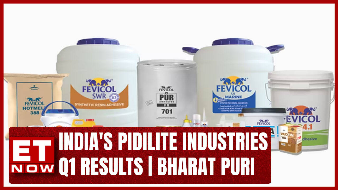 India's Pidilite Industries Q1 Results: Profit Rose By 32% | Bharat ...