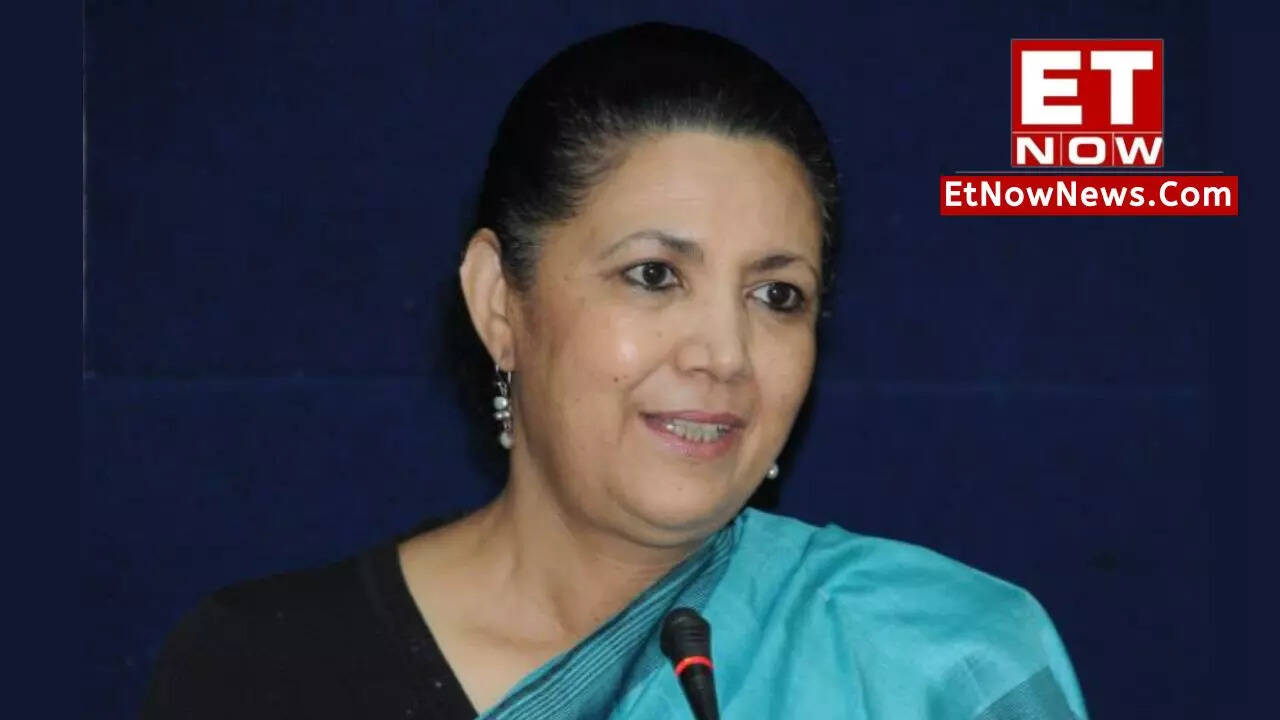 India: Former Ambassador Meera Shankar on G20 summit outcome, India-U.S ...