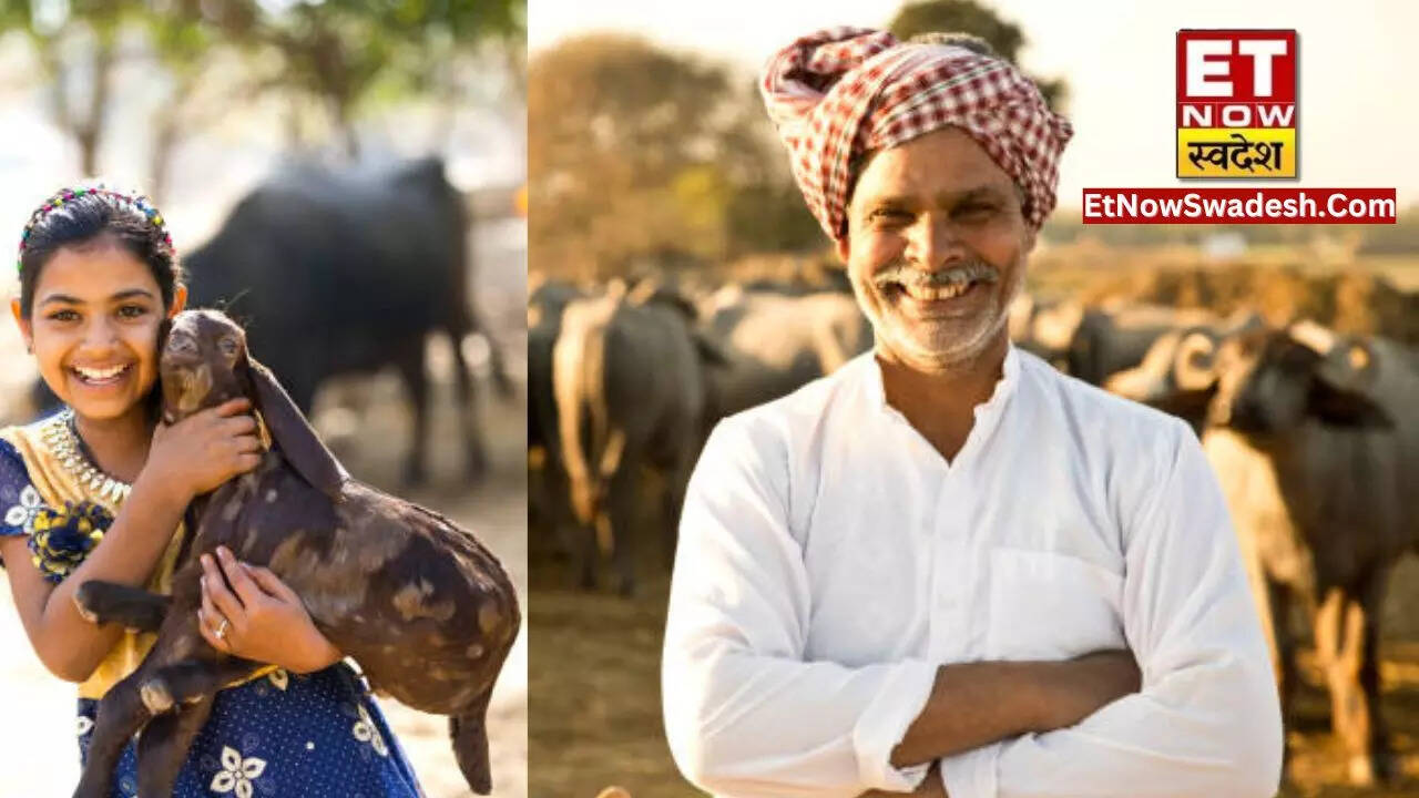 Rashtriya Pashu Dhan Mission Govt Scheme Livestock Agriculture ministry ...