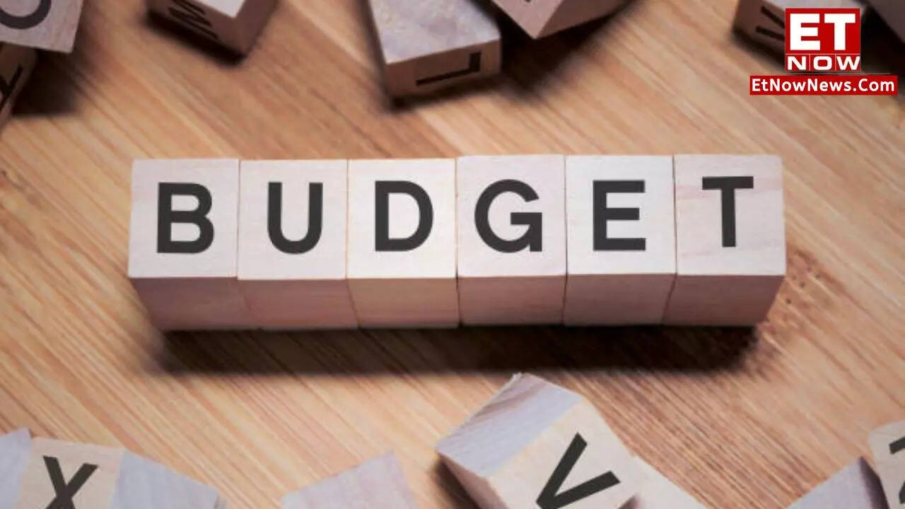 Budget: Interim Budget 2024: From India's 1st budget to paperless ...