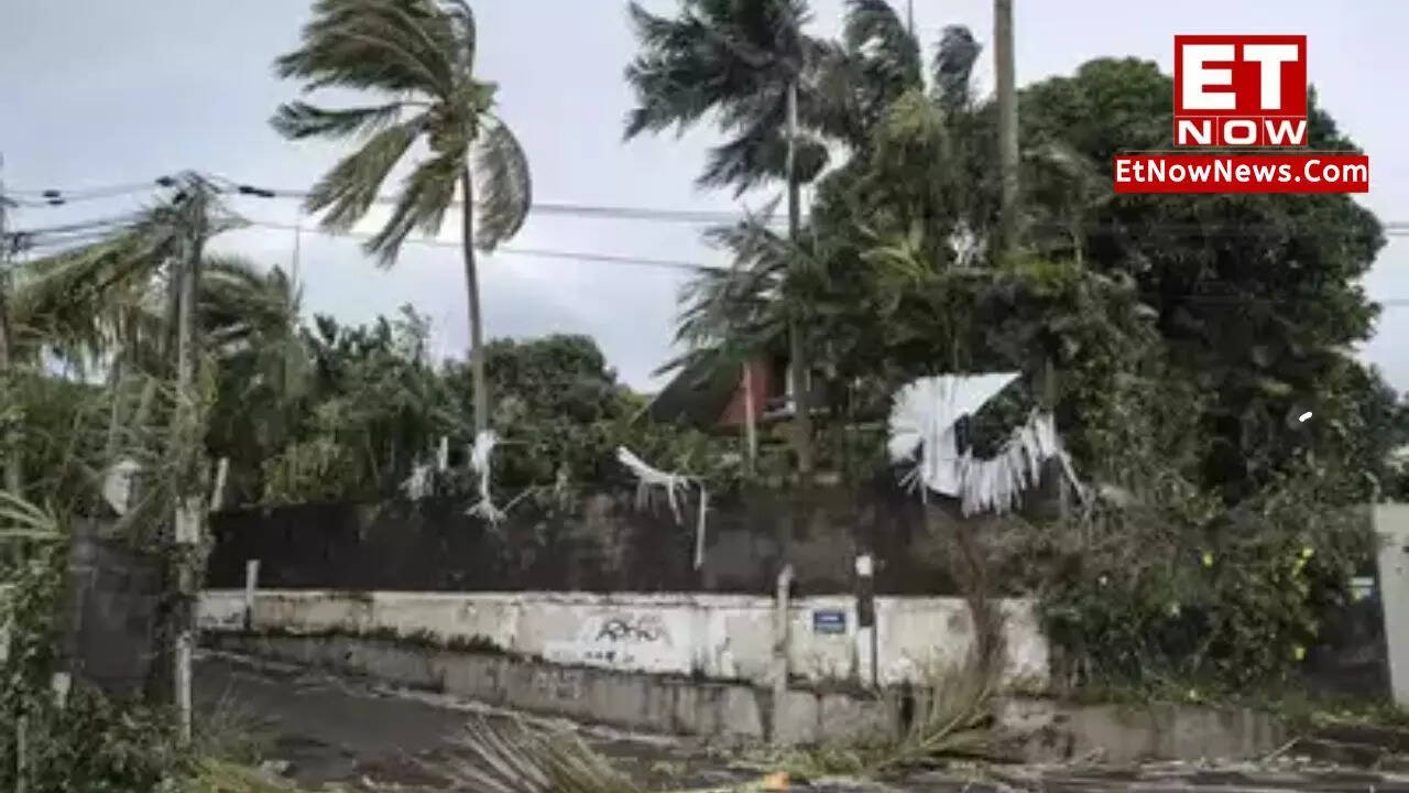 Mauritius cyclone Belal: Government ordered all inhabitants to stay ...