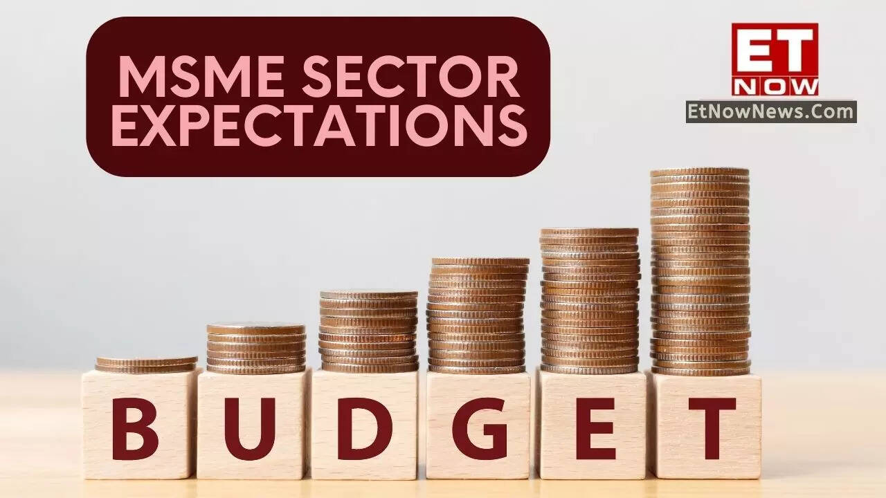 Interim Budget 2024: ‘Imbalance...risk mitigation tool’ - what MSME ...
