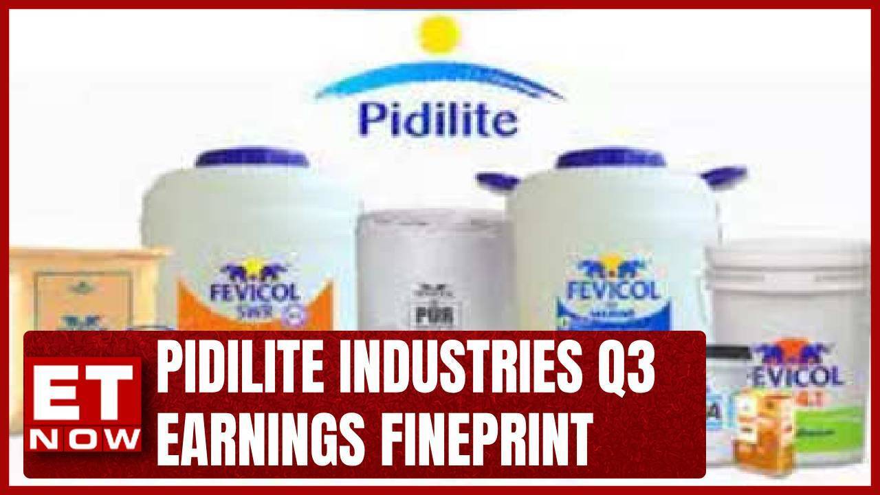 Pidilite Industries Shines: Robust Volume Growth, Rural Investment Boost | Bharat Puri Explains ...