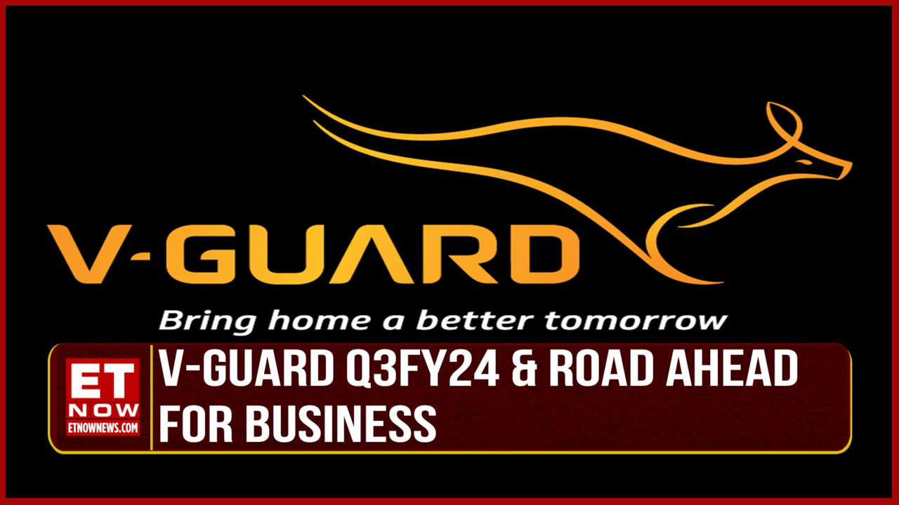 V-Guard Q3: Consumer Durables Sees Recovery | FY25 Margin Outlook | V ...