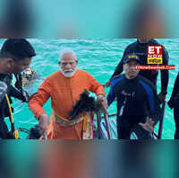 PM Modi scuba diving After visiting Dwarka PM Modi dived into the ...