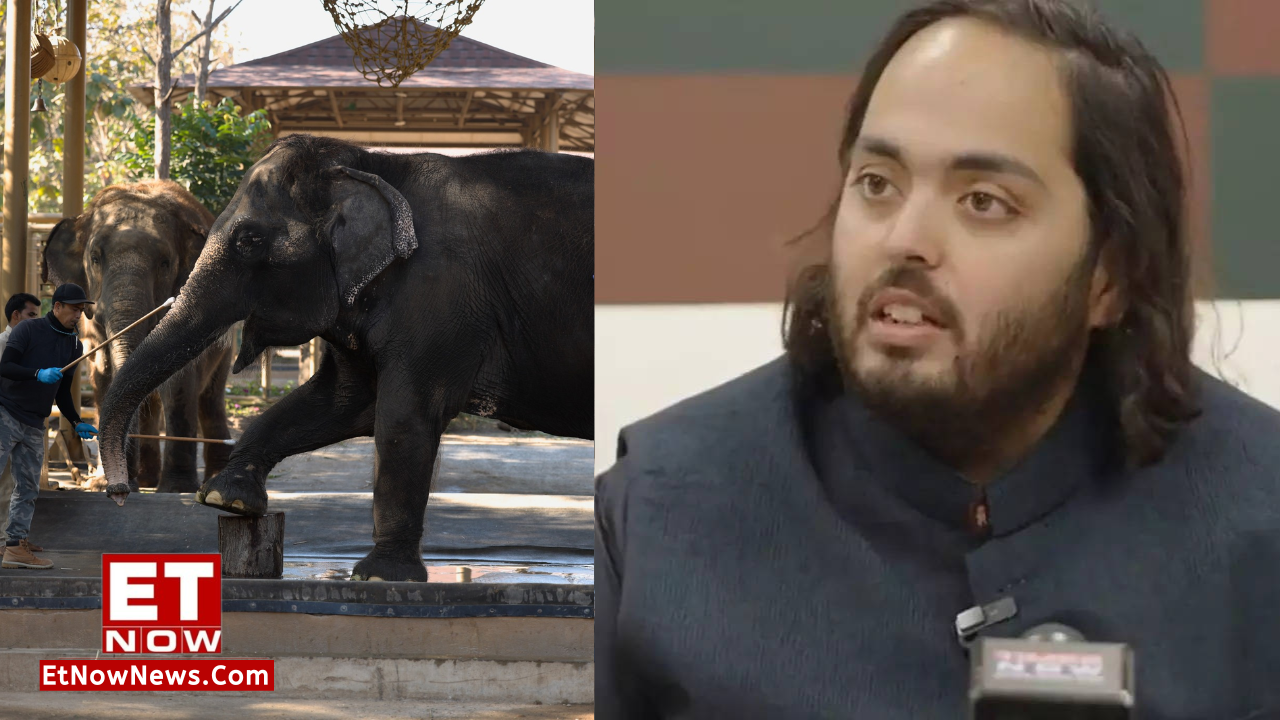 World’s largest rehab for animals! All about Anant Ambani's wildlife ...