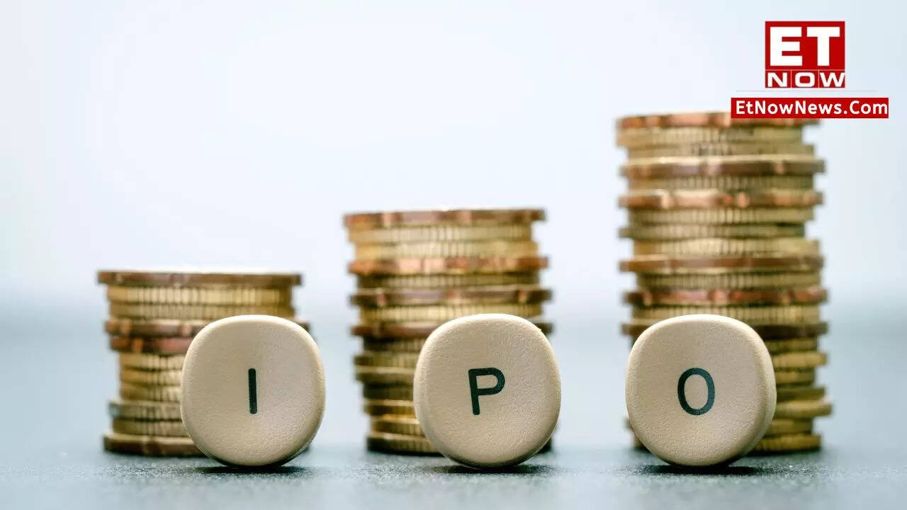 MVK Agro Food IPO: Check latest GMP, lot size, issue price, allotment ...