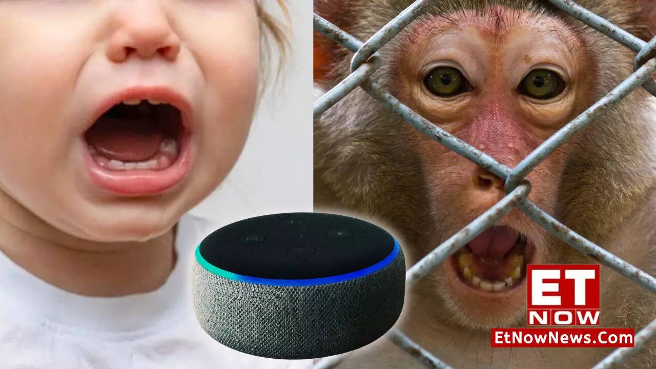 ‘Alexa, bark like a dog…’ - How a girl’s amazing presence of mind and ...