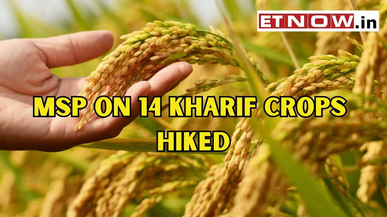 MSP for 14 Kharif crops for 2024-25 HIKED – Paddy, jowar, bajra, tur and more – Full List ...