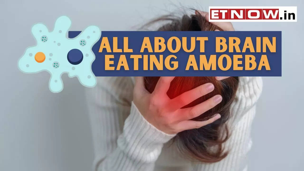 Kerala Boy Brain Eating Amoeba: 3 deaths! How infection spreads ...