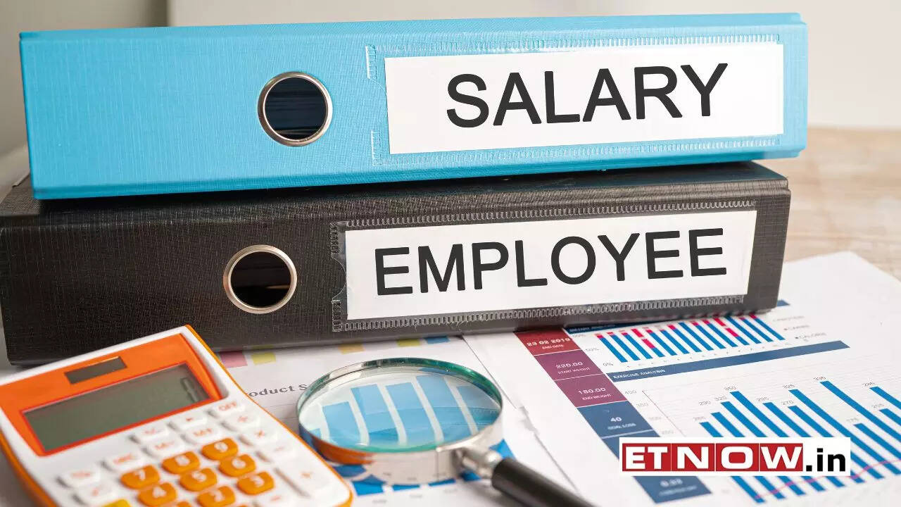 Budget 2024 income tax: Good news for salaried employees! Now, save up ...