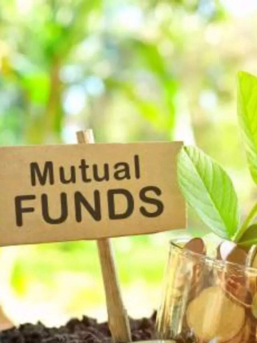 Double-Digit Returns! Check THESE Star Mutual Fund Schemes | etnownews