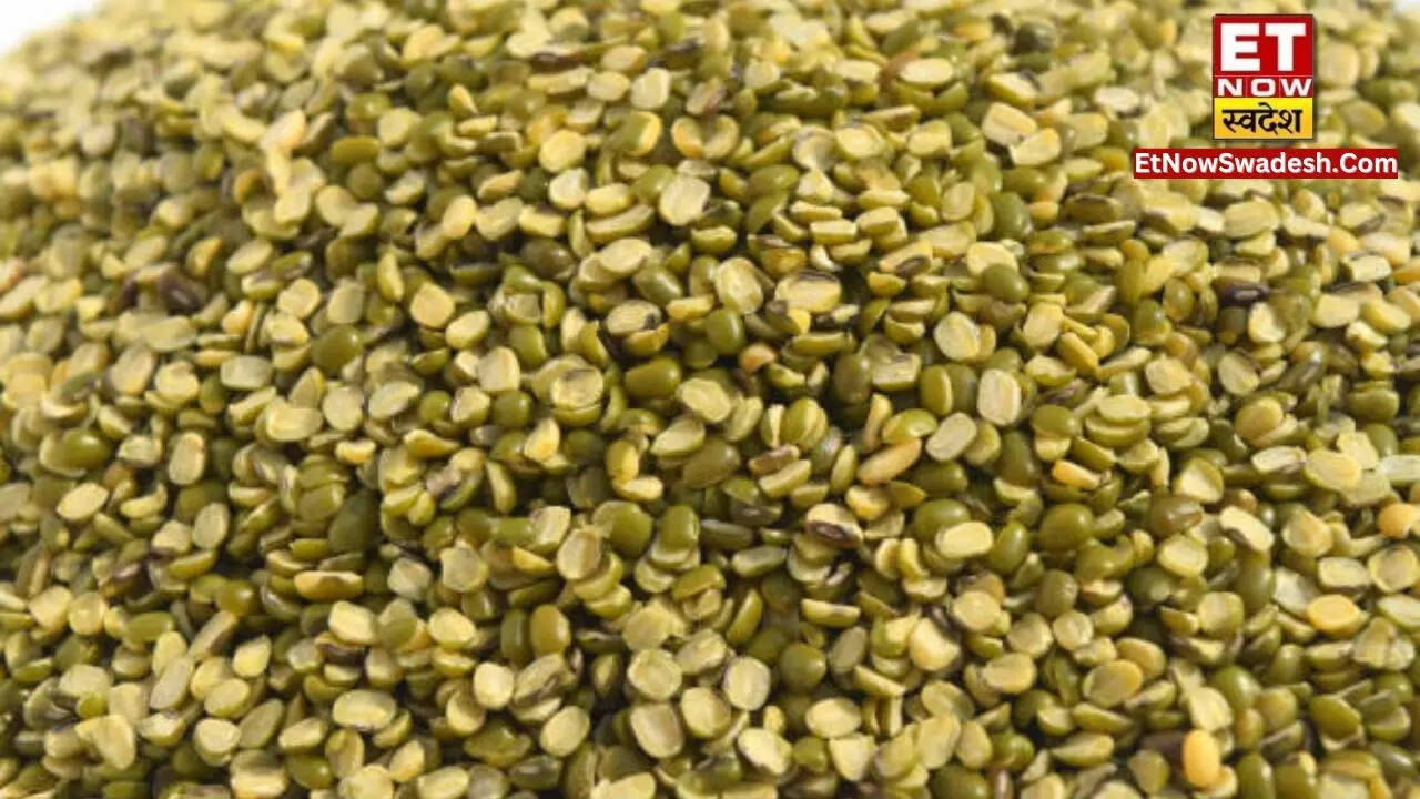 agriculture news farming of moong daal makes you rich et now ...