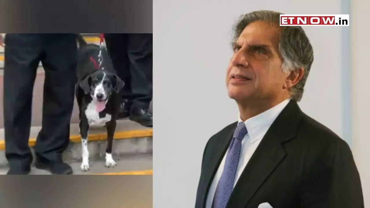 Ratan Tata's dog Goa pays one last visit to the titan - VIDEO - News ...