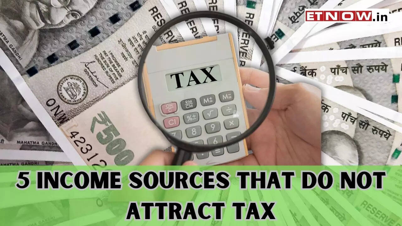 Tax-free incomes in India: Are your earnings on the list? 5 income ...