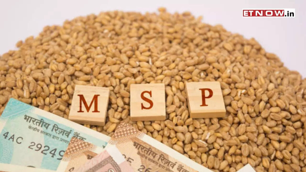 MSP for Rabi crops for 2025-26 season may be hiked by up to 8% ...