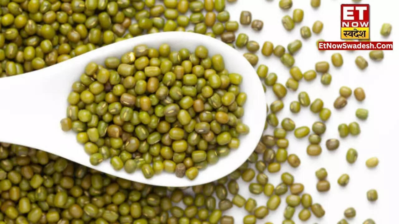 green gram seeds is giving huge profit to farmers kheti ki khabrein ...