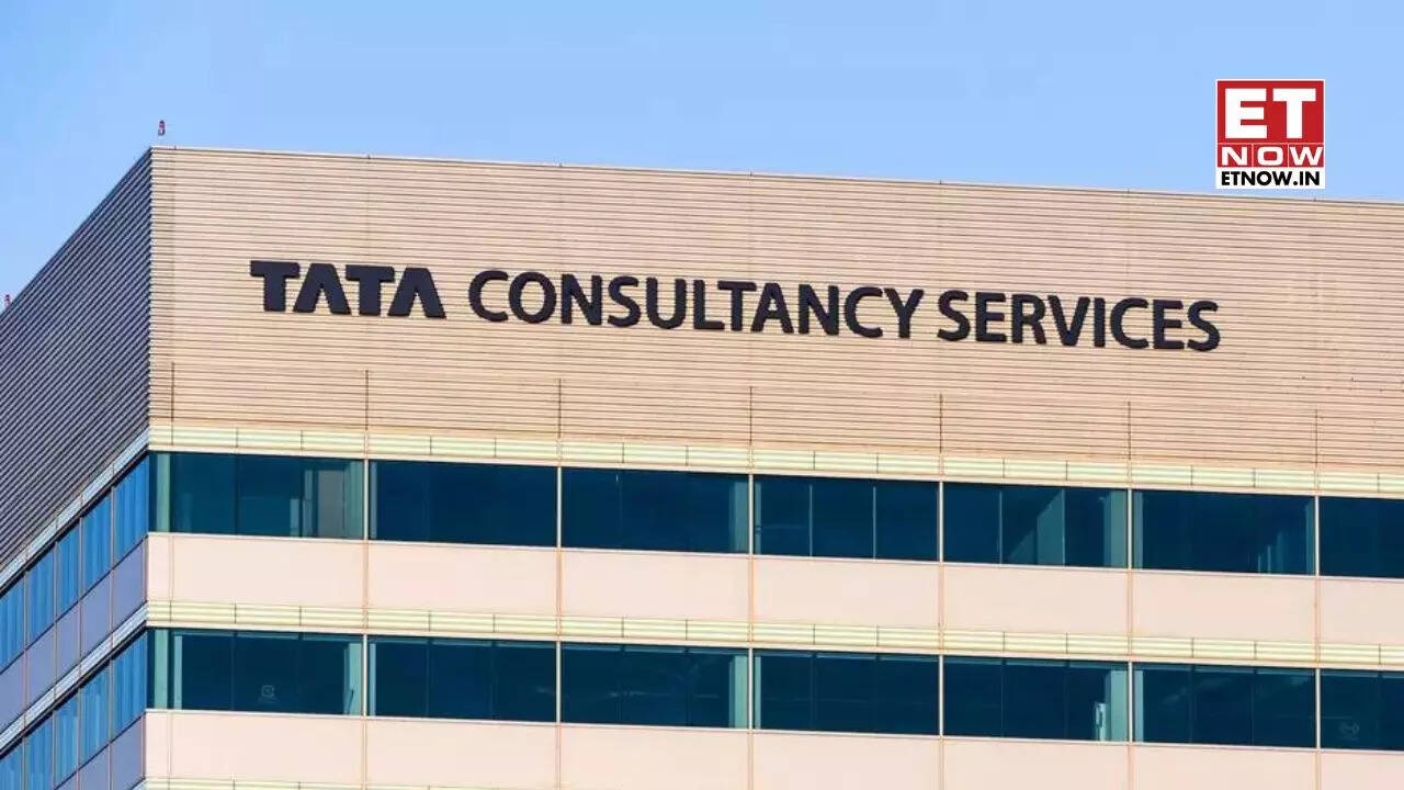 TCS Hiring 2024: What HR head said on freshers recruitment for FY25 ...