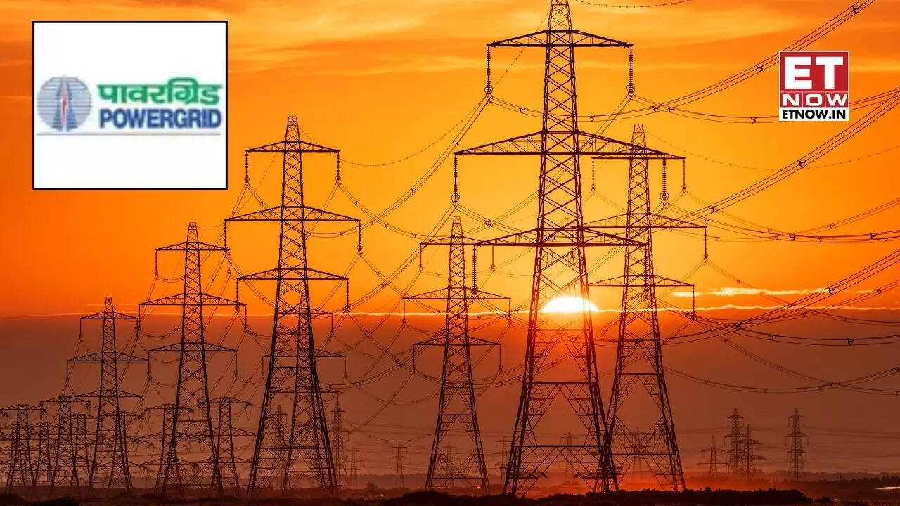 Power Grid dividend 2024 record date, ex-date and payment date - Check ...