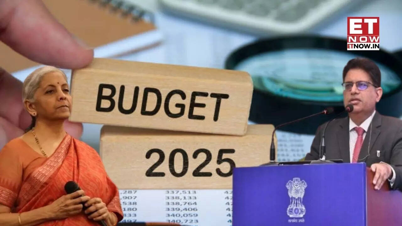 Budget 2025: Arunish Chawla's educational qualification - DIPAM ...